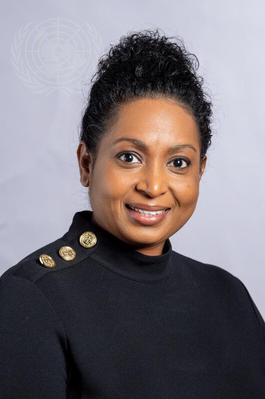 H.E. Menissa Rambally was elected chair of the UN Special Committee on ...